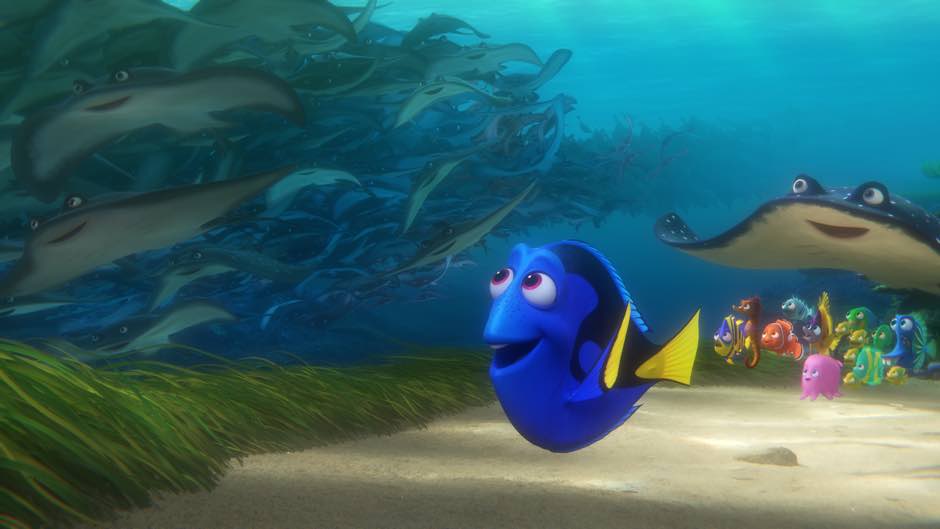 Finding Dory – As Precious and Adorable as It Looks - Woman Around Town