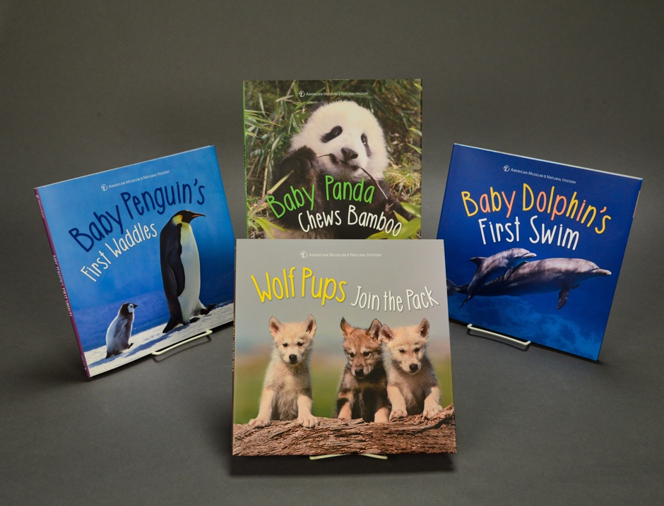 Don’t Just View the Animal Exhibits at the American Museum of Natural ...