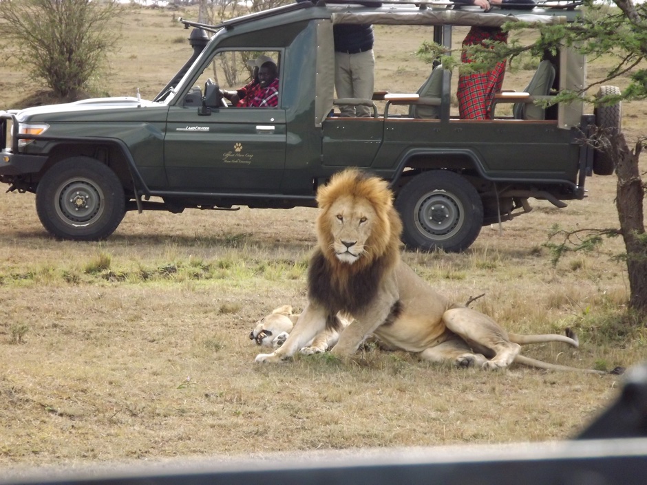 Safari So Good – It’s Easier Than Ever To Check This Trip Off Your ...