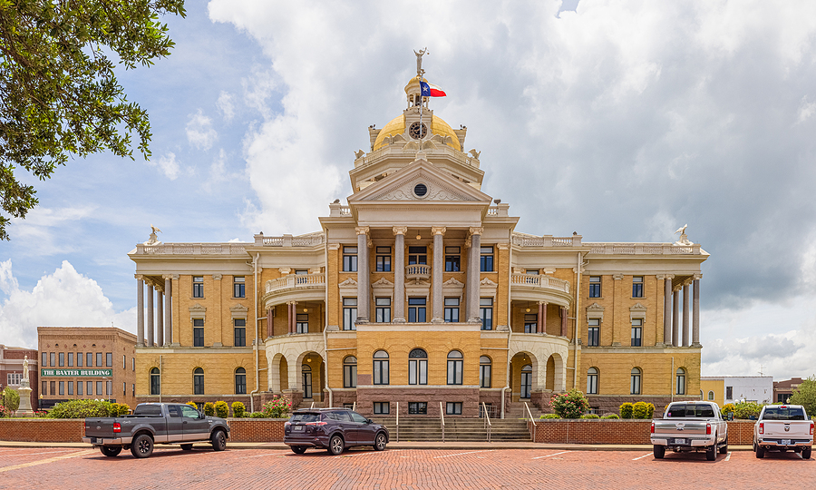 The Local - Joey Hartstone’s Terrific Debut Legal Thriller - Woman ...