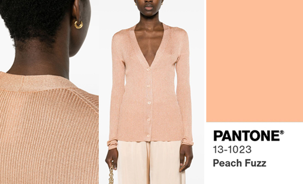 Pantone Color 2024 PEACH FUZZ - Woman Around Town