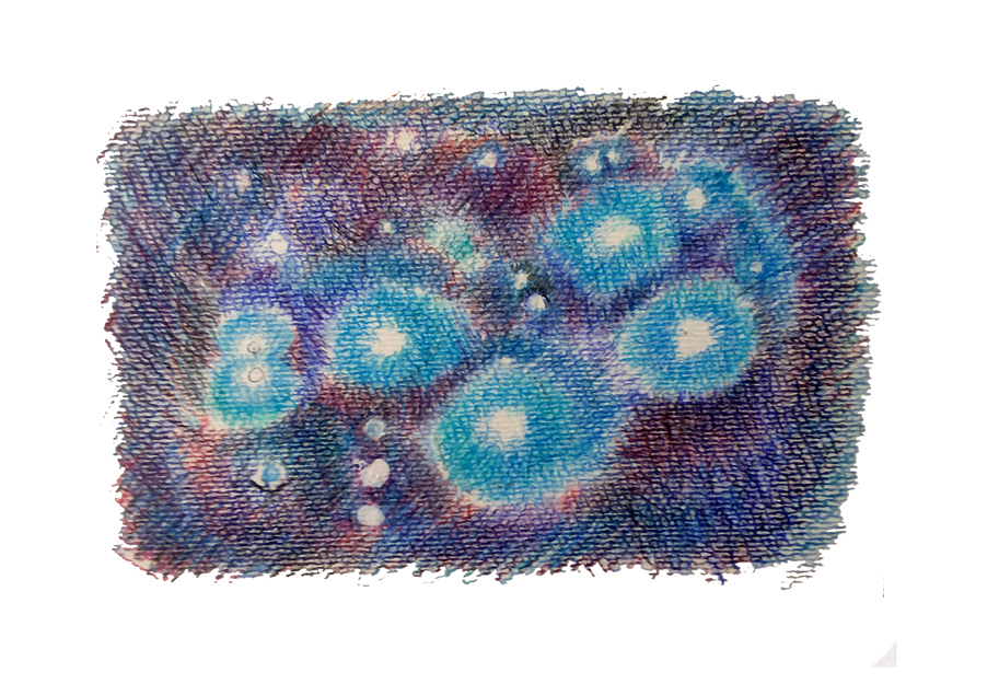 Poet's Corner - Seven Sisters - Woman Around Town